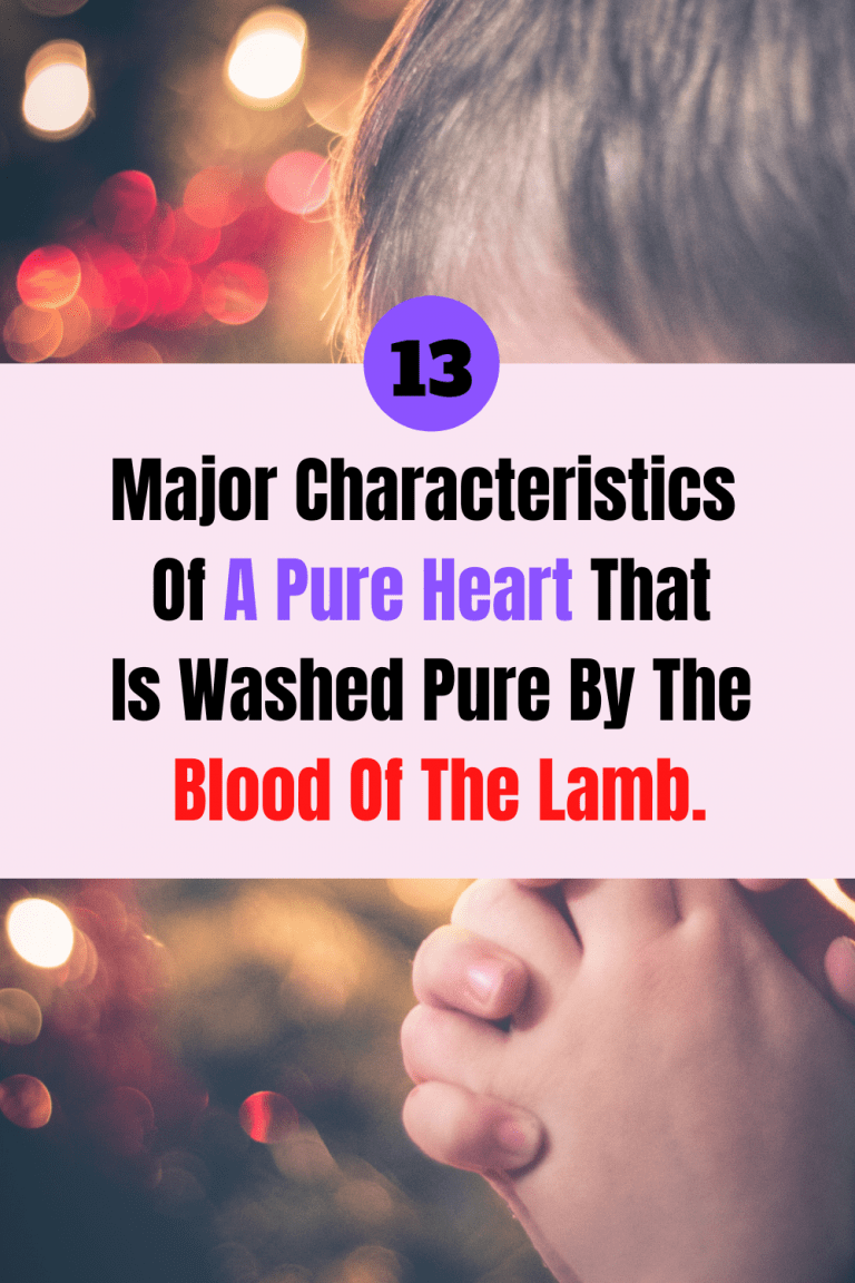 13 Characteristics Of A Pure Heart [That's Regenerated] - SaintlyLiving