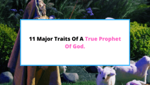 11 Characteristics Of True Prophets [Sent From God.] - SaintlyLiving
